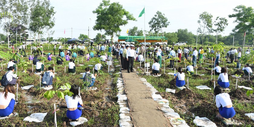 4th Monsoon Season Tree Planting: Yangon Region CM joined the tree ...