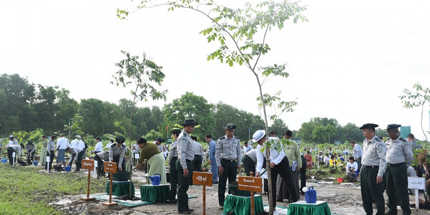 4th Monsoon Season Tree Planting: Yangon Region CM joined the tree ...