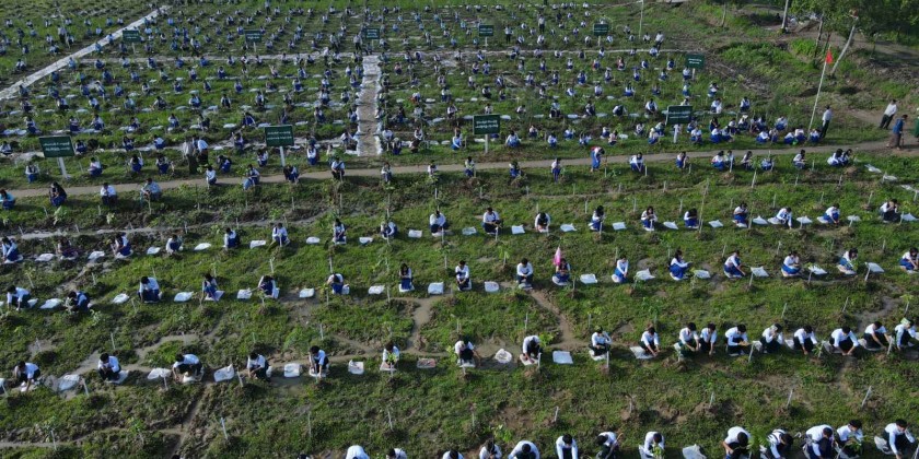 4th Monsoon Season Tree Planting: Yangon Region CM joined the tree ...