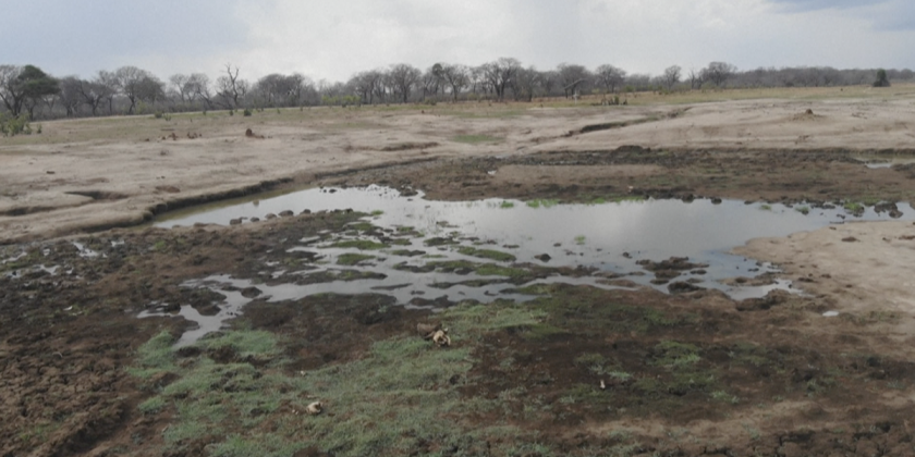 Zimbabwe declares national disaster amid El Nino drought | Myanmar ...