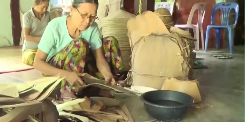 Bamboo Hat Business :SSID makes survey to issue business license ...