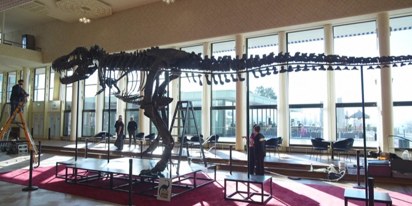 'Trinity' T-Rex skeleton goes on show in Zurich ahead of auction ...