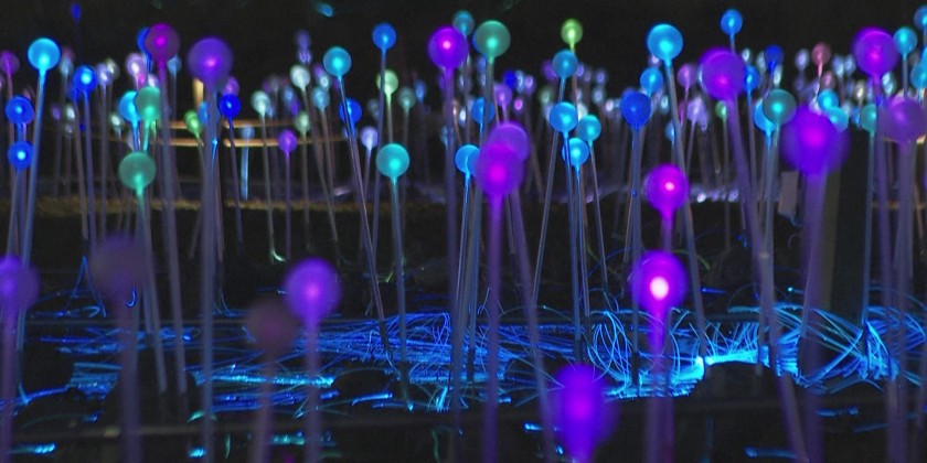 Immersive art installation "Field of light" lands in New York | Myanmar ...