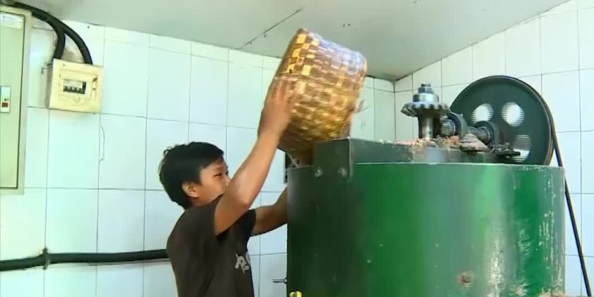 Local Edible Oil Market : Ensuring sufficient supply for local ...