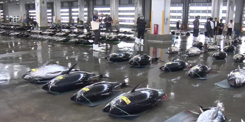 Tuna shipment begins | Myanmar International TV