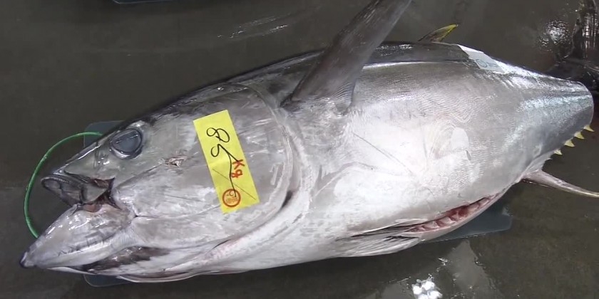 Tuna shipment begins | Myanmar International TV