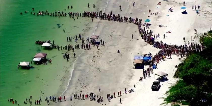 Beached whales rescued in Florida | Myanmar International TV