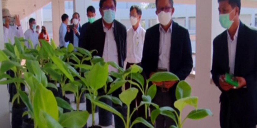 Agriculture And Irrigation: MoALI Union Minister Makes Inspections ...