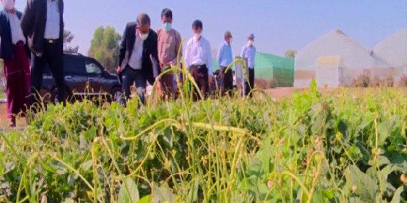 Agriculture And Irrigation: MoALI Union Minister Makes Inspections ...