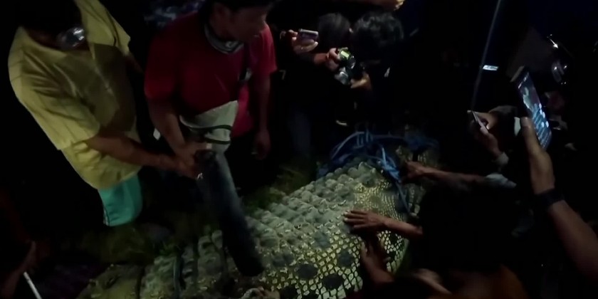 Croc in Indonesia freed from tyre after 6 years | Myanmar International TV
