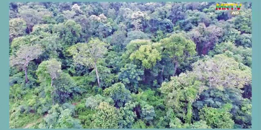 Forest Reserves: Nearly One Million Acres Of Forest Reserves ...