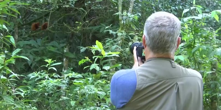 Small maned monkeys thrive in Brazilian reserve | Myanmar International TV