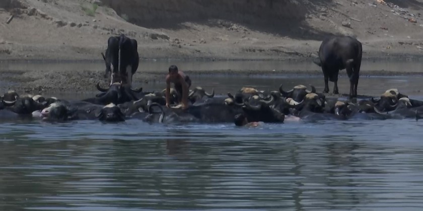 Iraqis try to keep cool in scorching heat wave | Myanmar International TV