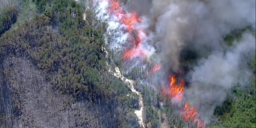 Thousands of acres burned in NJ forest fire | Myanmar International TV