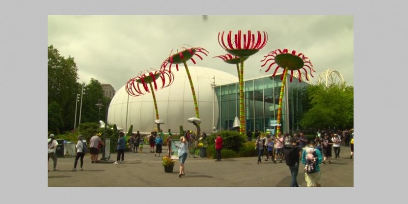 First in-person Pokémon GO Fest in the United States since 2019 ...