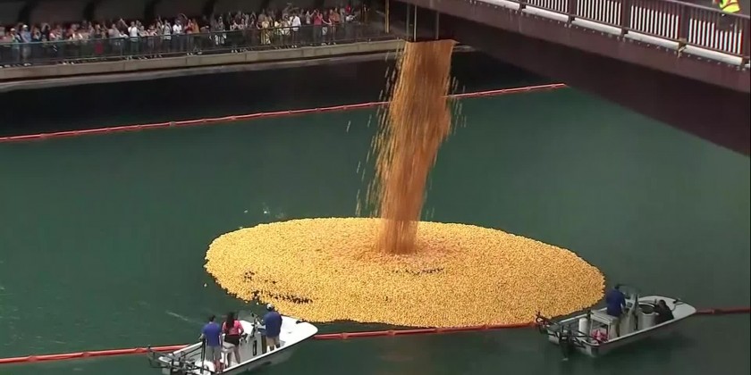 75K rubber ducks race in Chicago River for charity | Myanmar ...