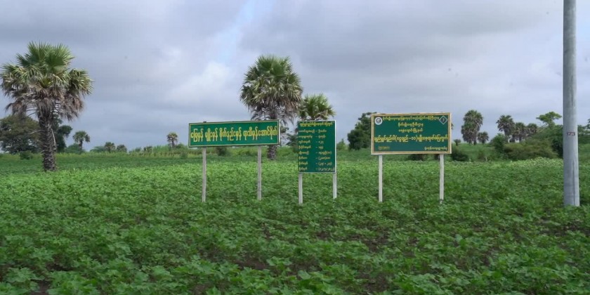 Rural Development Efforts: Magway Region CM Inspected Regional ...