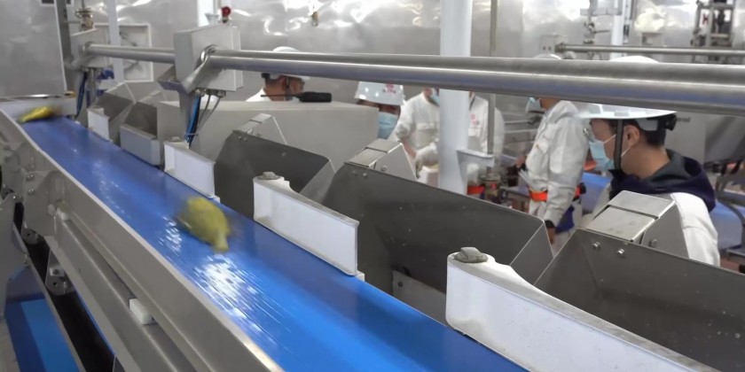 World's first 100,000-metric ton smart aquaculture vessel delivers ...