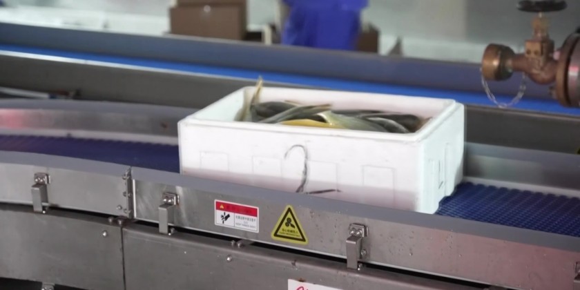 World's first 100,000-metric ton smart aquaculture vessel delivers ...