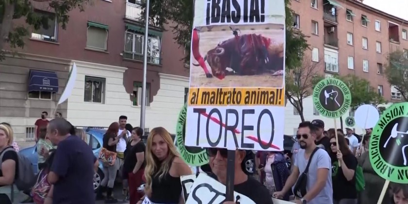 Protest against bull fighting outside Spain bull-ring | Myanmar ...