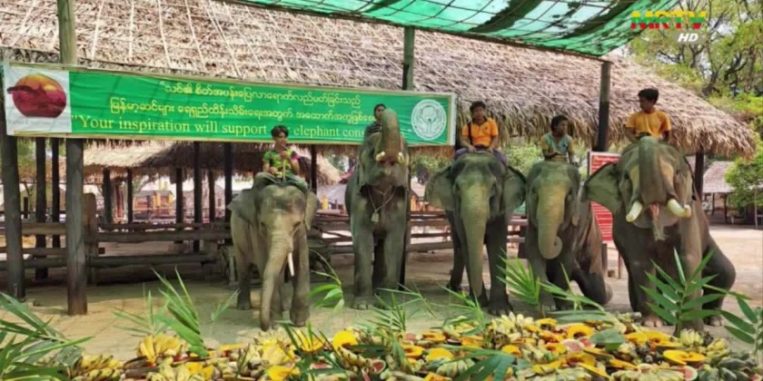 Palin Riverview Elephant Camp: To See Elephants And Feel Beauty Of ...