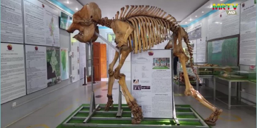 Palin Riverview Elephant Camp: To See Elephants And Feel Beauty Of ...