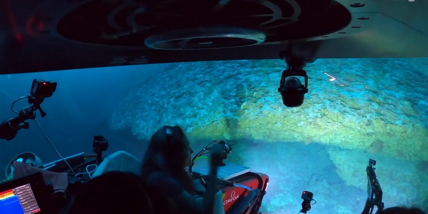 Nekton Discovery has Hallmark of New Ecosystem - Consumer Ready ...