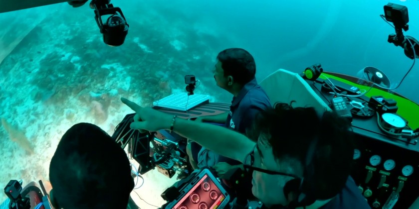 Nekton Discovery has Hallmark of New Ecosystem - Consumer Ready ...