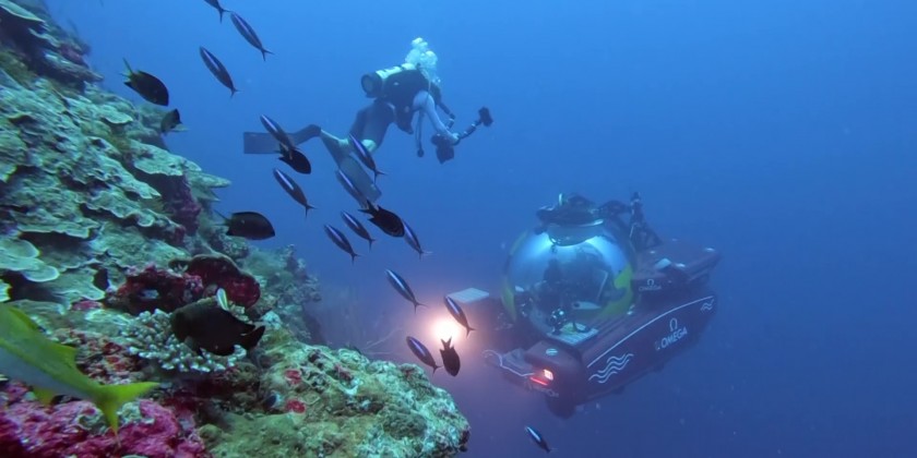 Nekton Discovery has Hallmark of New Ecosystem - Consumer Ready ...