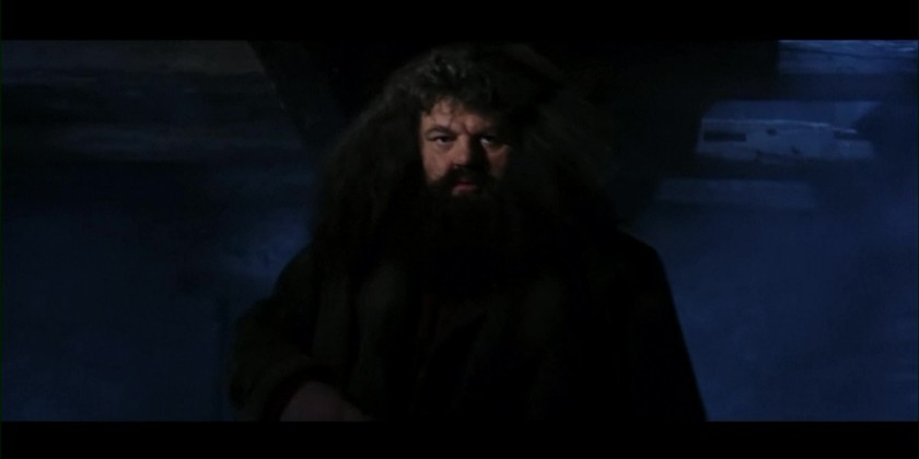 Actor Robbie Coltrane, Harry Potter's Hagrid, dies at 72 | Myanmar ...