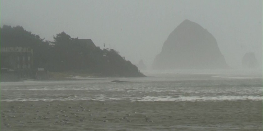 Wind and waves batter US Pacific Northwest | Myanmar International TV