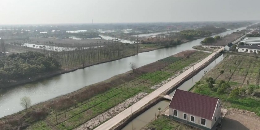 Shanghai Chongming Releases 10,000 Small Fish in River | Myanmar International TV